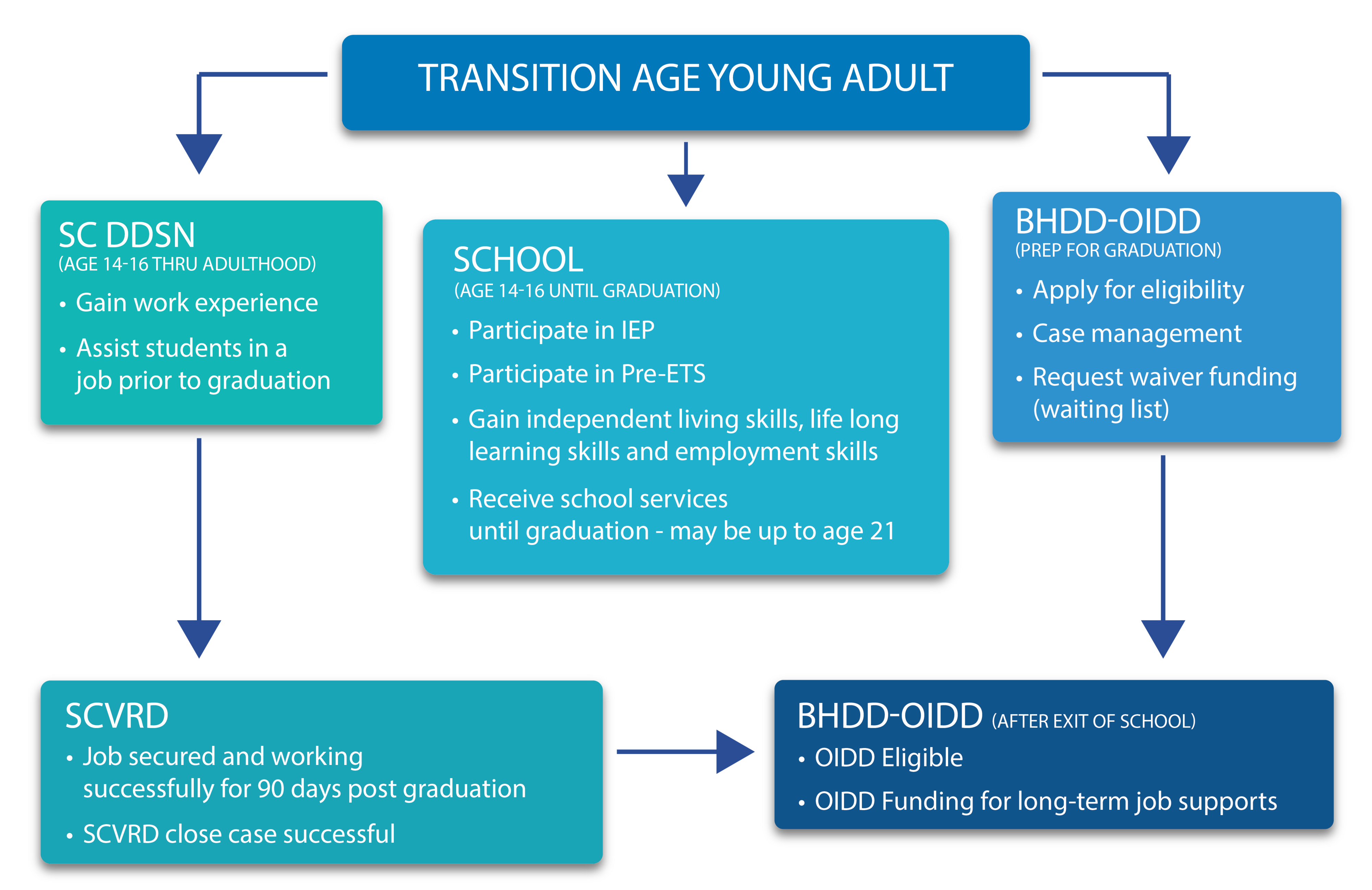 Post-Secondary Transition Services | Department of Disabilities and ...