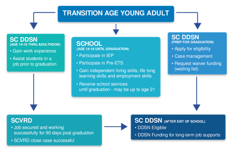 Transition Services for Young Adults | Department of Disabilities and ...
